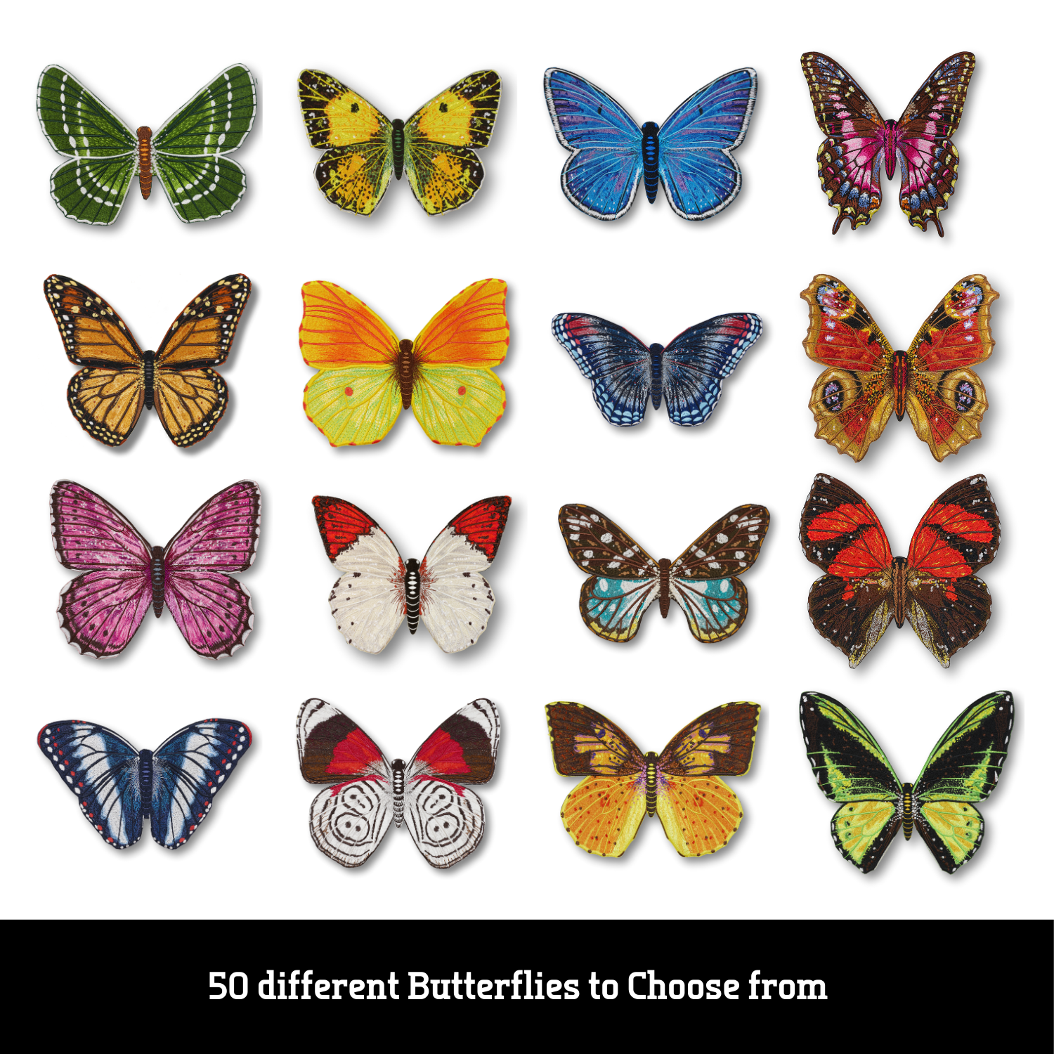 butterfly swarms and installations – Stephen Wilson Studio