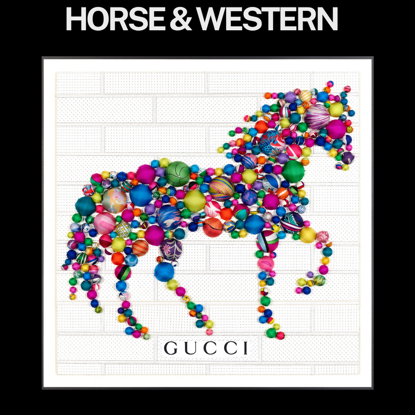 Stephen Wilson Studio